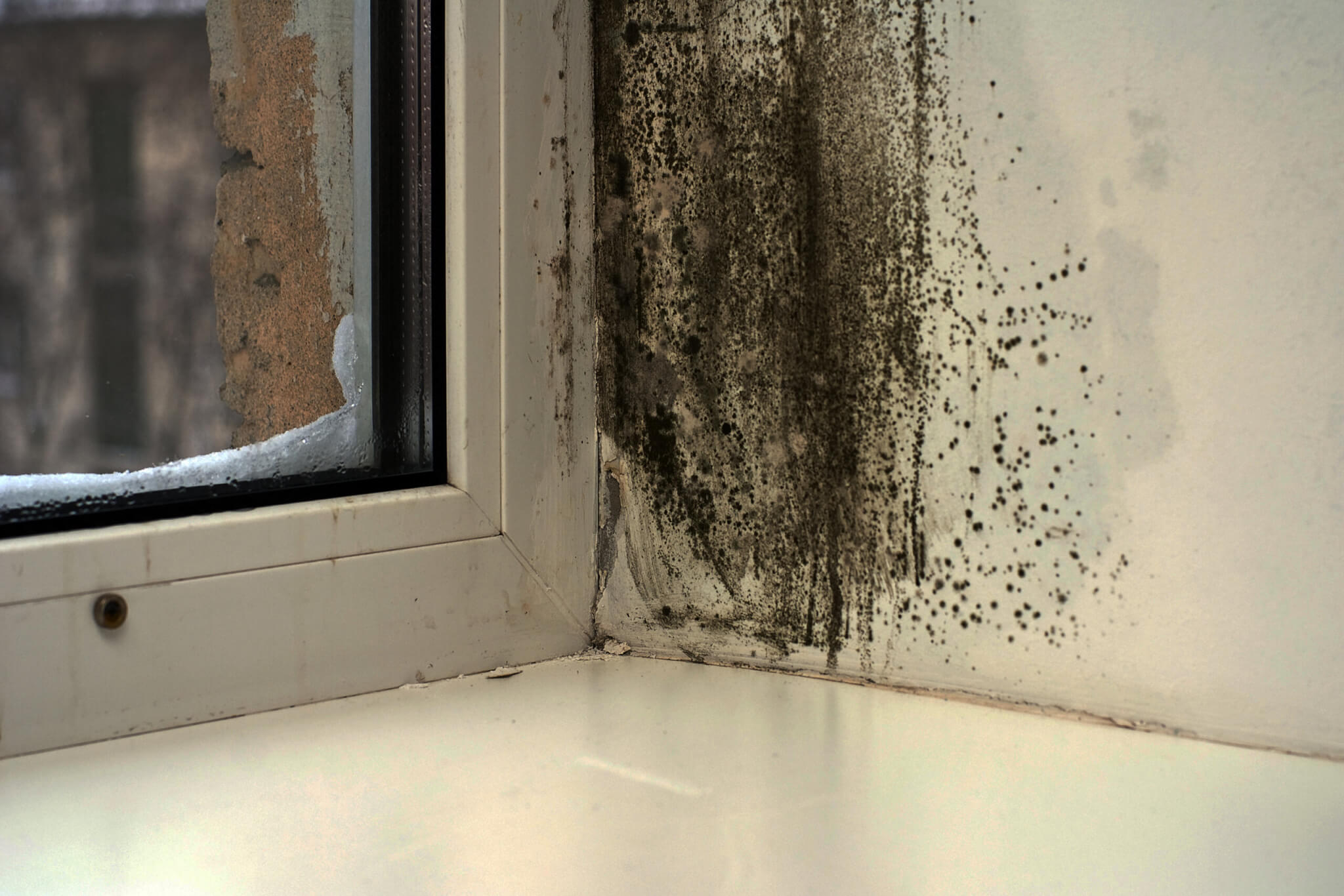 Nieuwsbrief Woningcorporaties: Last van Vocht- en schimmel in de woning ...